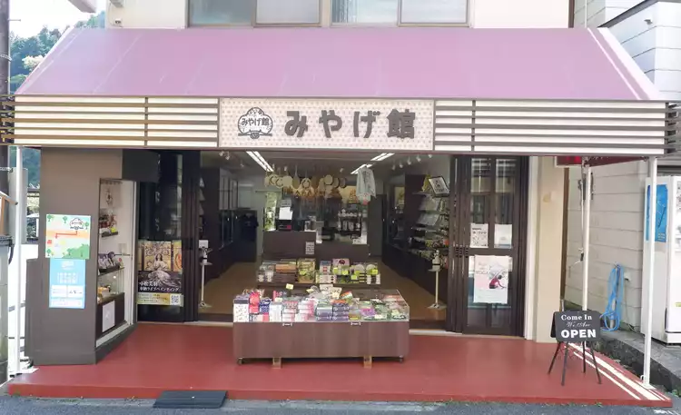 miyagekan - ecbo cloak. Easy luggage storage with your smartphone, no ...